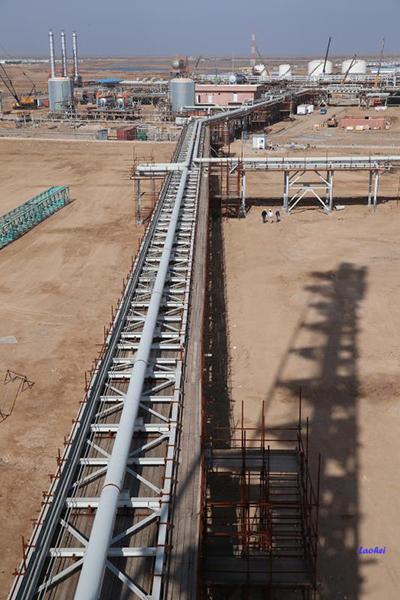 CPF Central Processing Facility_Vicom Technology Co., Ltd.